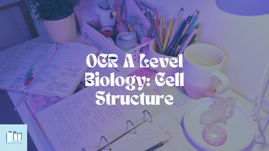 OCR A Level Biology: Cell Structure