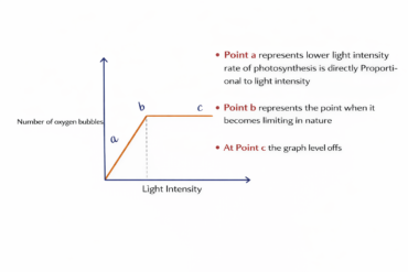 Rate of Photosynthesis Required Practical: Complete GCSE Biology Guide ...